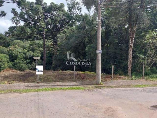 Terreno / Lote para Venda em Caxias do Sul/RS São Giácomo