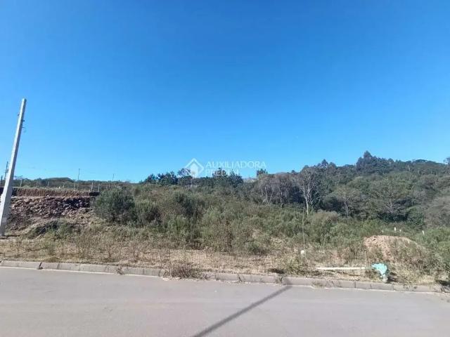 Terreno / Lote para Venda em Caxias do Sul/RS São Giácomo