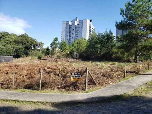Terreno / Lote para Venda em Caxias do Sul/RS São José