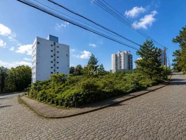 Terreno / Lote para Venda em Caxias do Sul/RS São José