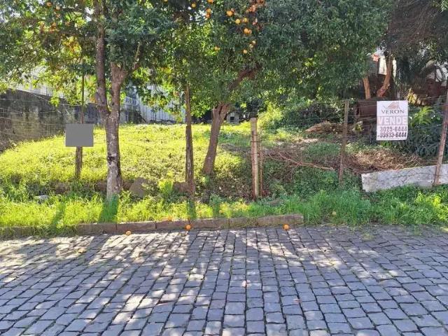 Terreno / Lote para Venda em Caxias do Sul/RS São José