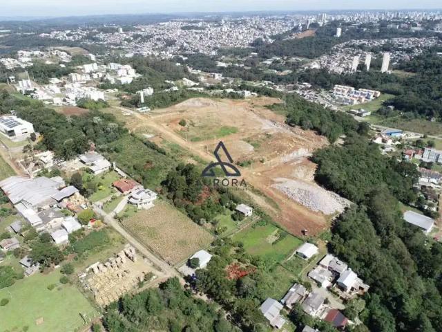 Terreno / Lote para Venda em Caxias do Sul/RS São Luiz