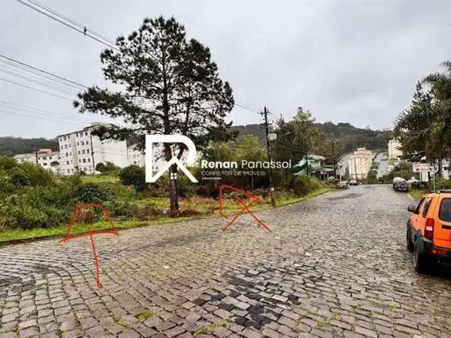 Terreno / Lote para Venda em Caxias do Sul/RS São Luiz