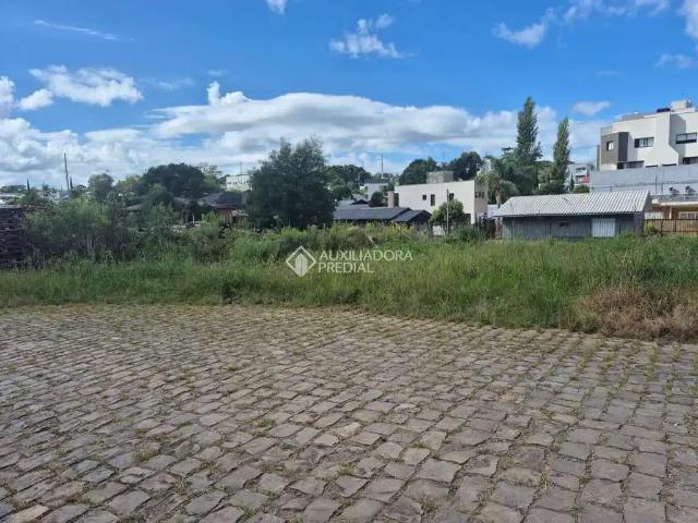 Terreno / Lote para Venda em Caxias do Sul/RS São Luiz