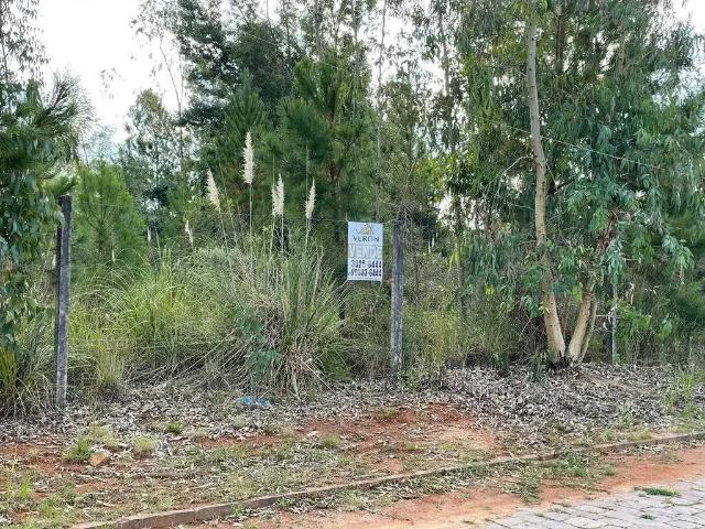 Terreno / Lote para Venda em Caxias do Sul/RS São Luiz