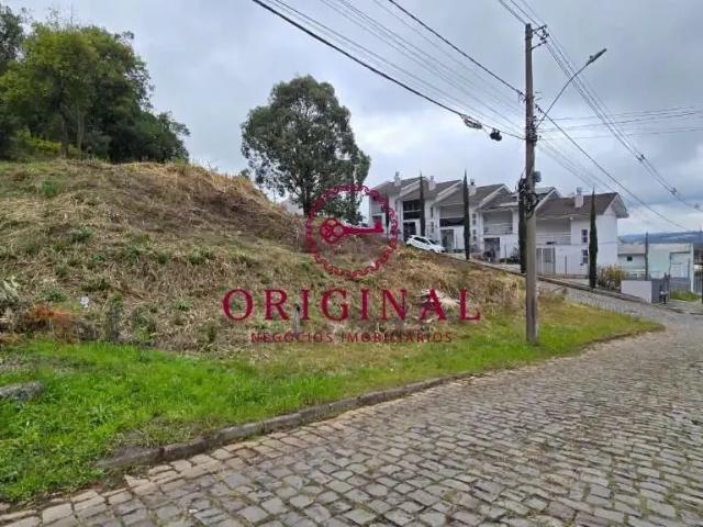 Terreno / Lote para Venda em Caxias do Sul/RS São Luiz
