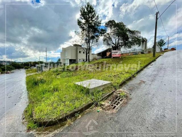 Terreno / Lote para Venda em Caxias do Sul/RS São Luiz