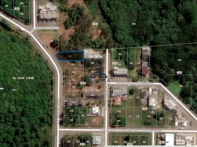 Terreno / Lote para Venda em Caxias do Sul/RS São Luiz