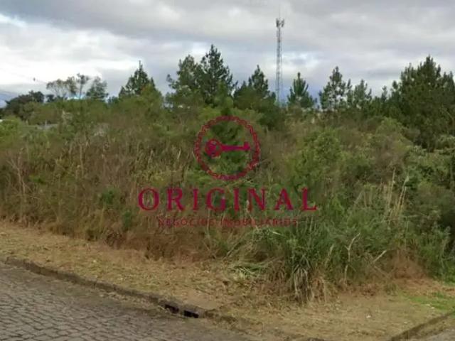 Terreno / Lote para Venda em Caxias do Sul/RS São Luiz