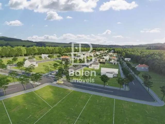 Terreno / Lote para Venda em Caxias do Sul/RS São Luiz