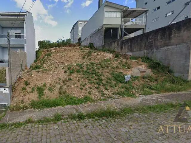 Terreno / Lote para Venda em Caxias do Sul/RS São Luiz
