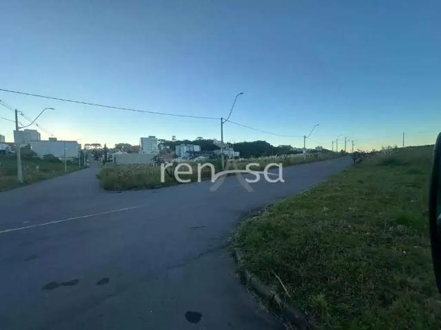 Terreno / Lote para Venda em Caxias do Sul/RS São Luiz