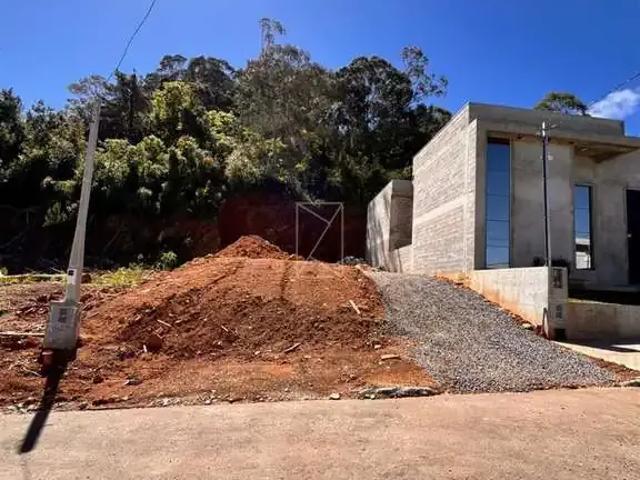 Terreno / Lote para Venda em Caxias do Sul/RS São Luiz