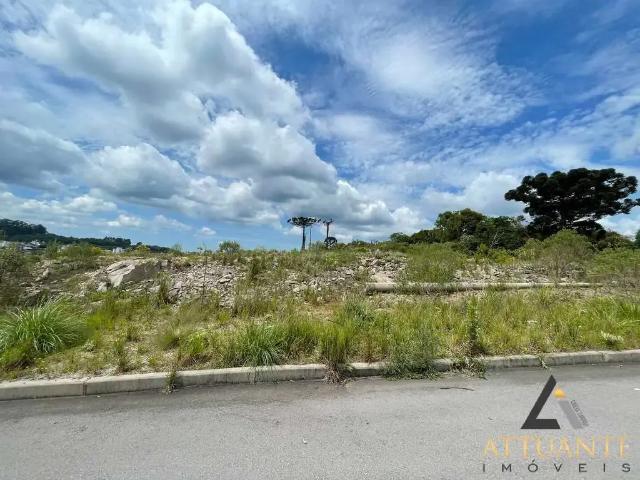 Terreno / Lote para Venda em Caxias do Sul/RS São Luiz