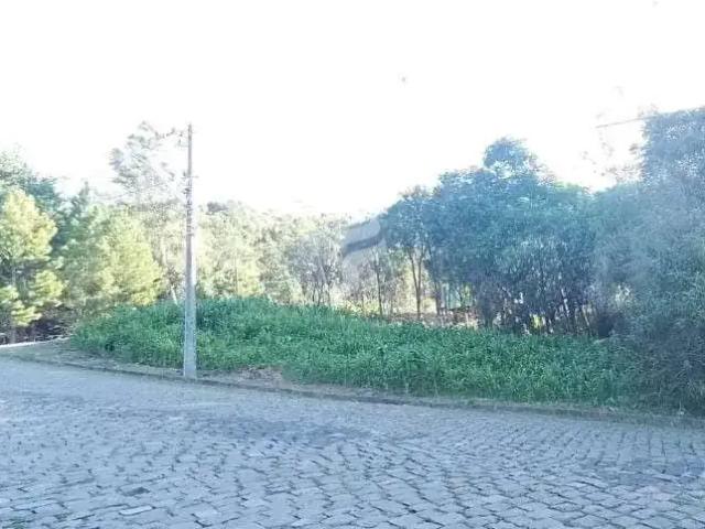 Terreno / Lote para Venda em Caxias do Sul/RS São Luiz