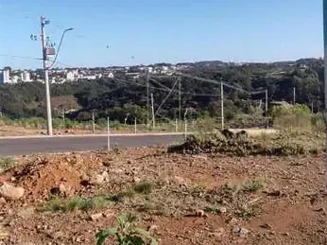 Terreno / Lote para Venda em Caxias do Sul/RS São Luiz