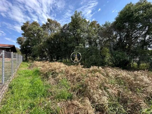 Terreno / Lote para Venda em Caxias do Sul/RS São Luiz