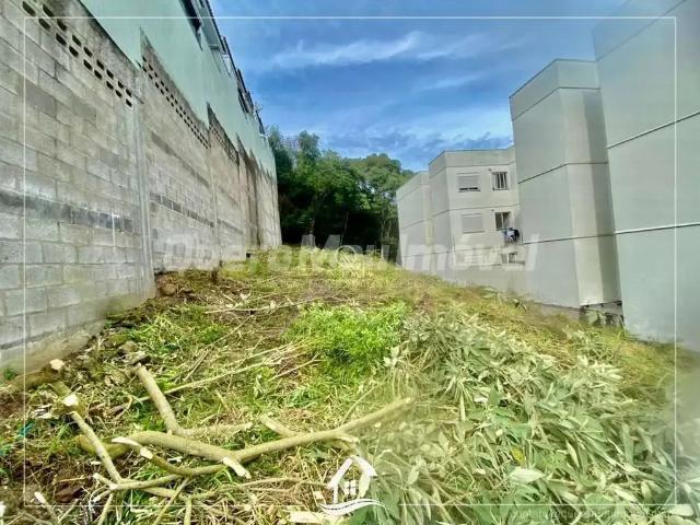 Terreno / Lote para Venda em Caxias do Sul/RS São Luiz