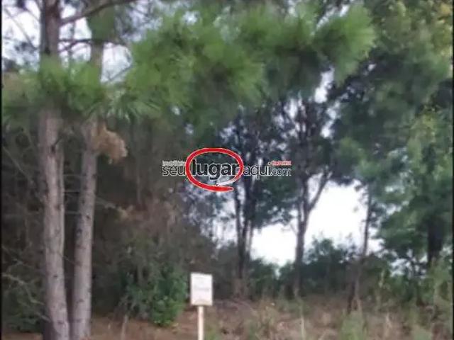 Terreno / Lote para Venda em Caxias do Sul/RS São Luiz