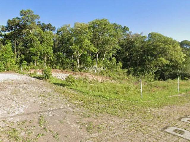 Terreno / Lote para Venda em Caxias do Sul/RS São Luiz