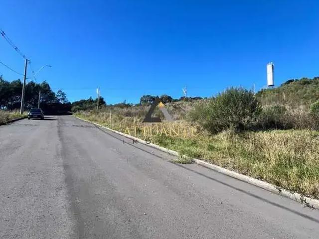 Terreno / Lote para Venda em Caxias do Sul/RS São Luiz