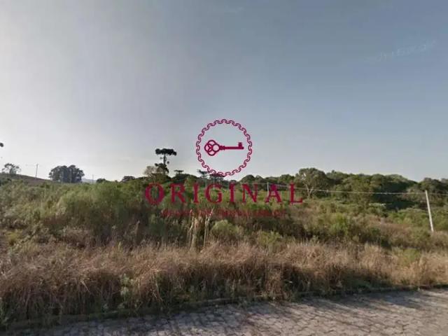 Terreno / Lote para Venda em Caxias do Sul/RS São Luiz