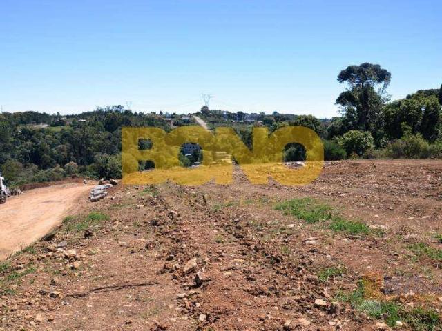 Terreno / Lote para Venda em Caxias do Sul/RS São Luiz