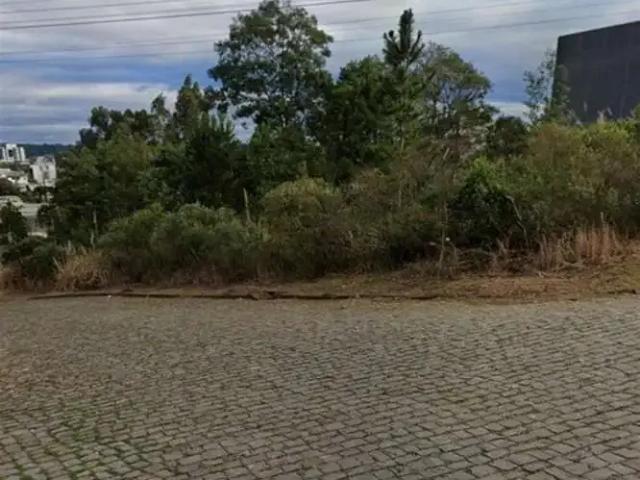 Terreno / Lote para Venda em Caxias do Sul/RS São Luiz