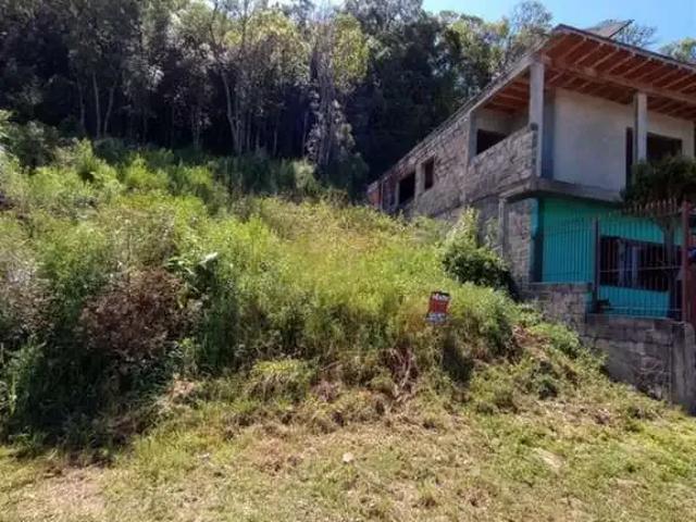 Terreno / Lote para Venda em Caxias do Sul/RS São Luiz