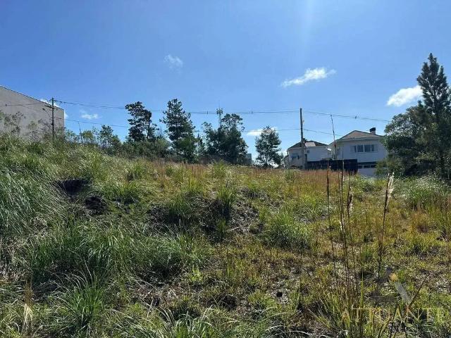 Terreno / Lote para Venda em Caxias do Sul/RS São Luiz
