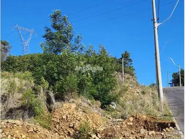 Terreno / Lote para Venda em Caxias do Sul/RS São Luiz