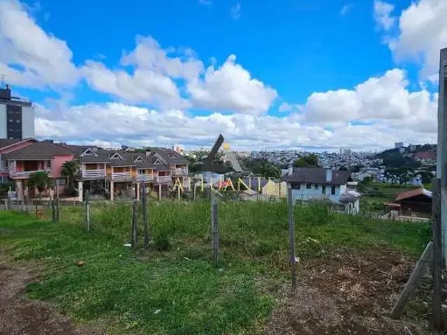 Terreno / Lote para Venda em Caxias do Sul/RS São Luiz