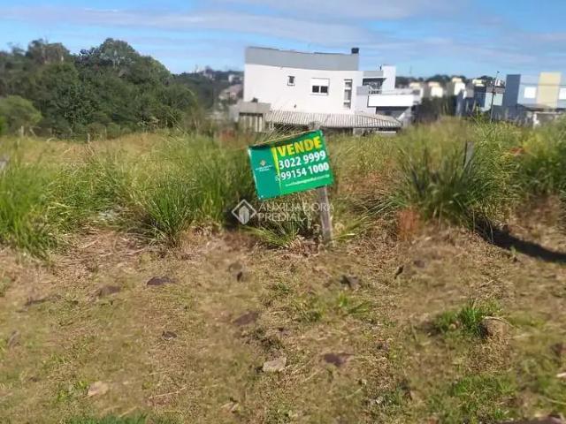 Terreno / Lote para Venda em Caxias do Sul/RS São Luiz