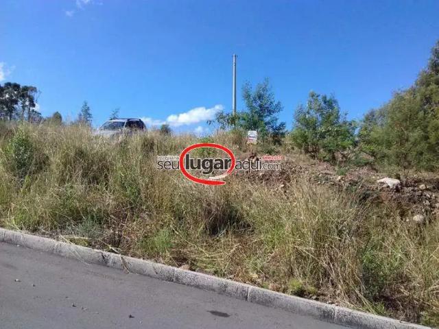 Terreno / Lote para Venda em Caxias do Sul/RS São Luiz