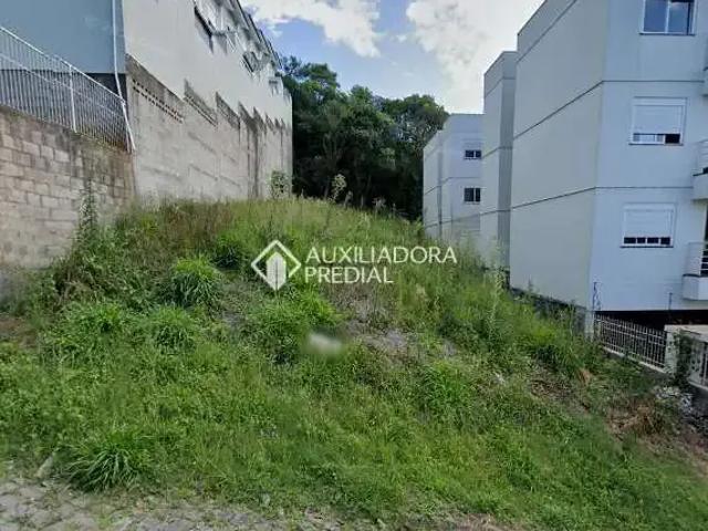 Terreno / Lote para Venda em Caxias do Sul/RS São Luiz