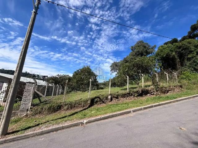 Terreno / Lote para Venda em Caxias do Sul/RS São Luiz