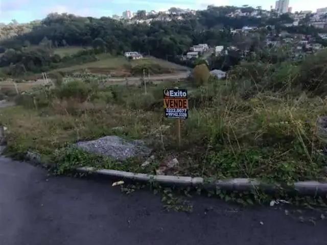Terreno / Lote para Venda em Caxias do Sul/RS São Luiz