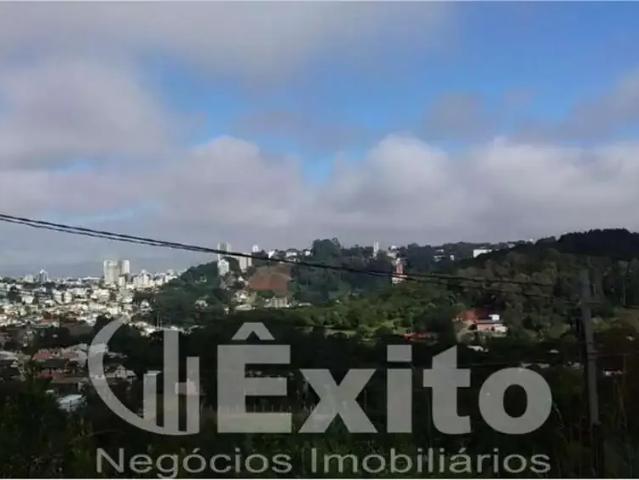 Terreno / Lote para Venda em Caxias do Sul/RS São Luiz