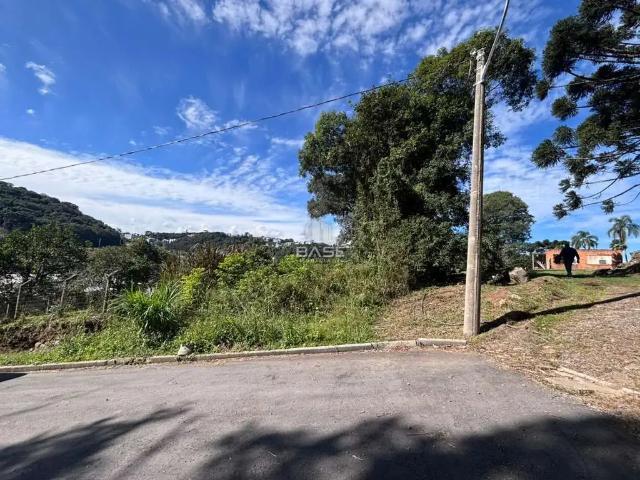 Terreno / Lote para Venda em Caxias do Sul/RS São Luiz