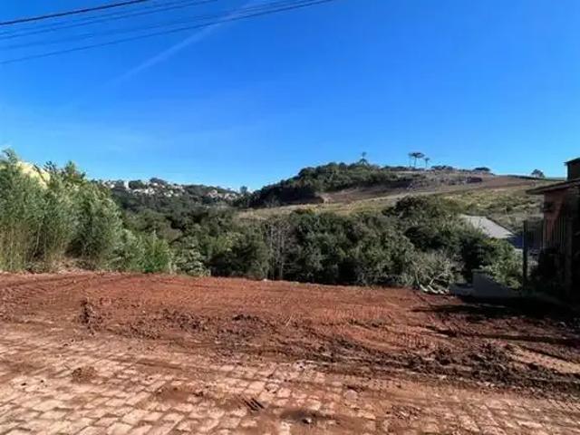 Terreno / Lote para Venda em Caxias do Sul/RS São Luiz