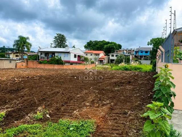 Terreno / Lote para Venda em Caxias do Sul/RS São Luiz