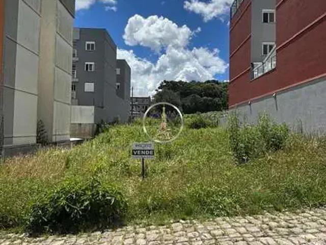 Terreno / Lote para Venda em Caxias do Sul/RS São Luiz