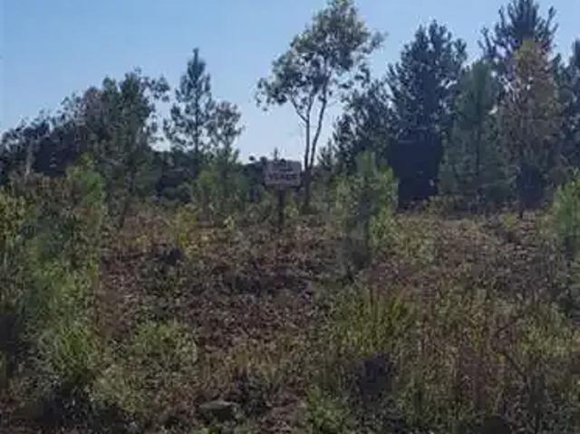Terreno / Lote para Venda em Caxias do Sul/RS São Luiz