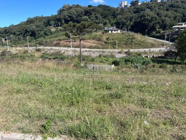 Terreno / Lote para Venda em Caxias do Sul/RS São Luiz