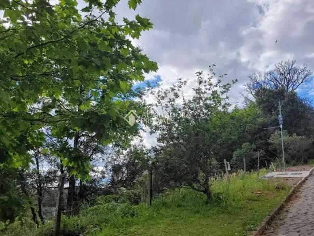 Terreno / Lote para Venda em Caxias do Sul/RS São Luiz