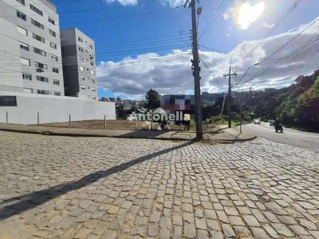 Terreno / Lote para Venda em Caxias do Sul/RS São Luiz