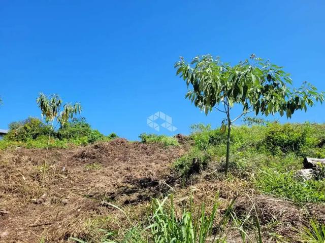 Terreno / Lote para Venda em Caxias do Sul/RS São Luiz