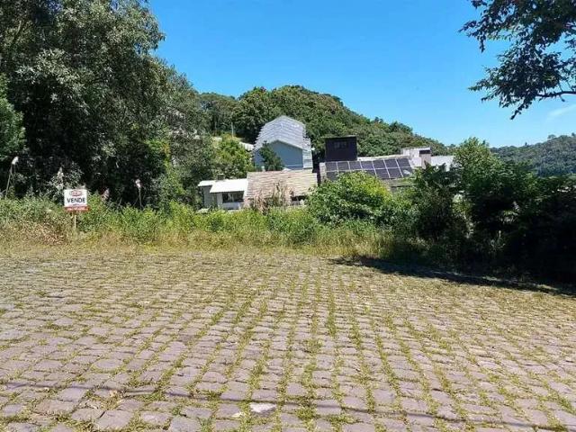 Terreno / Lote para Venda em Caxias do Sul/RS São Luiz