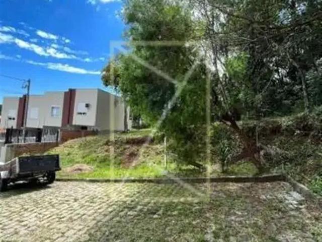 Terreno / Lote para Venda em Caxias do Sul/RS São Luiz