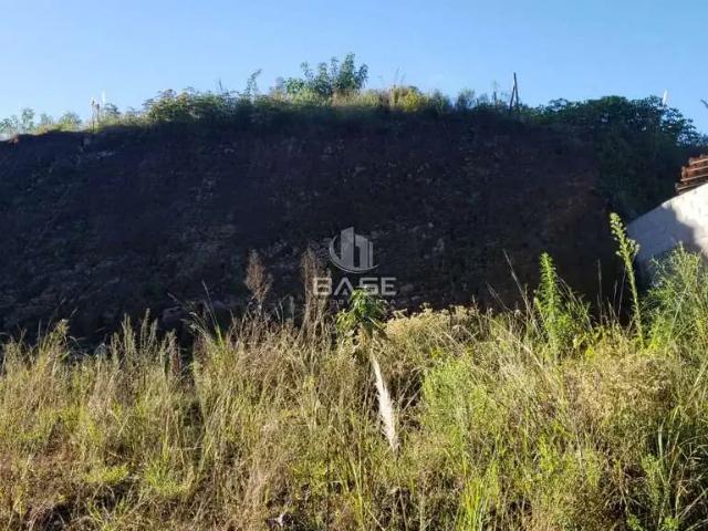 Terreno / Lote para Venda em Caxias do Sul/RS São Luiz